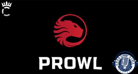 What’s on the PROWL with Xander Schultz and Matt Novogratz? – ST339 ...